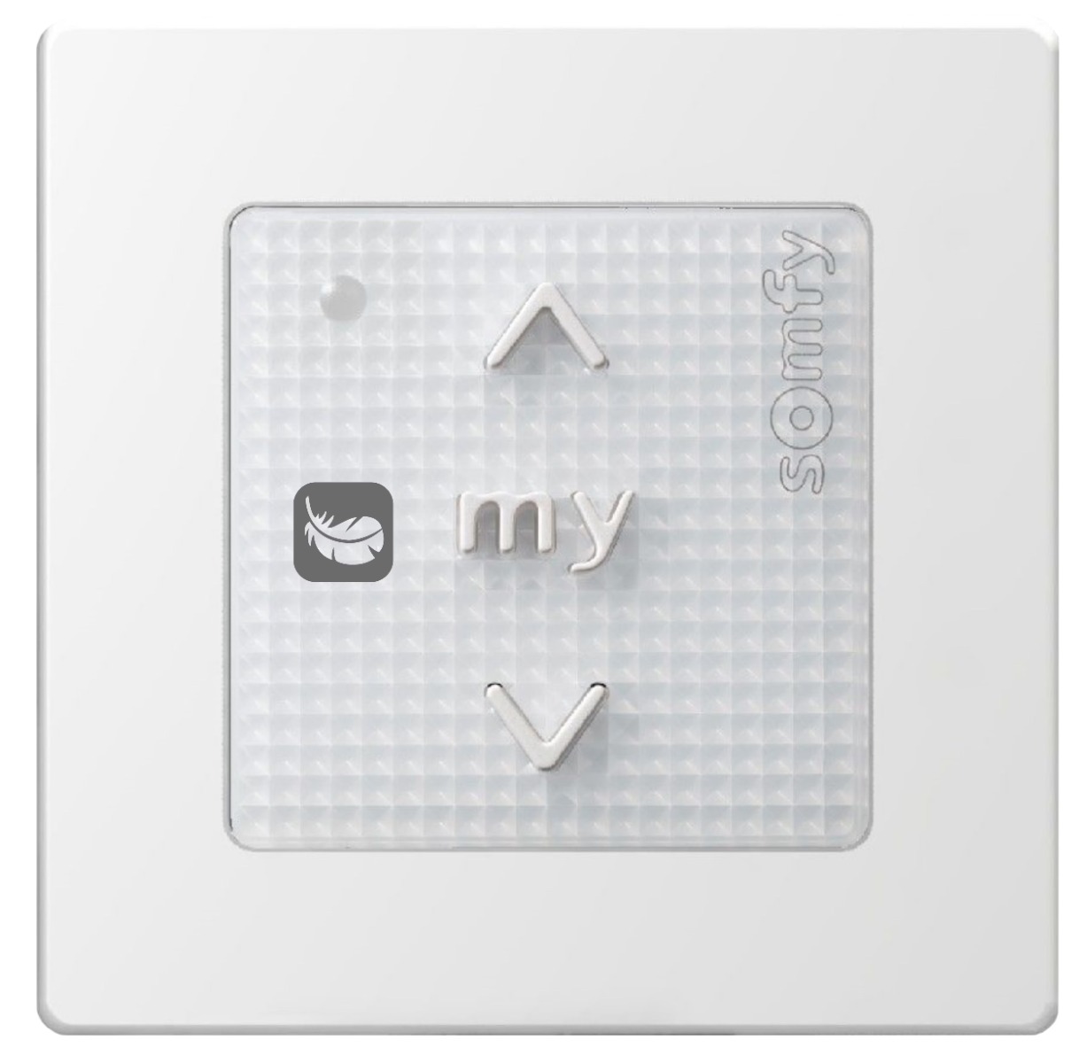 Somfy Smoove origin RS100 io + Frame - Screendirect